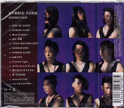 【未使用】 未開封CD★『HYBRID FUNK ／ ENDRECHERI』エンドリケリ JECR-0061 堂本剛 KinKi Kids HYBRID ALIEN 去な 宇宙 Crystal ...